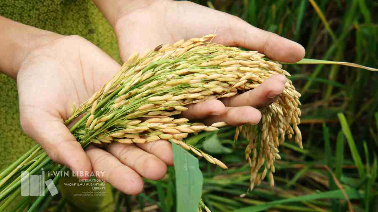IMPROVING FOOD SECURITY IN THE AGRICULTURAL SECTOR AS THE FOUNDATION OF ...