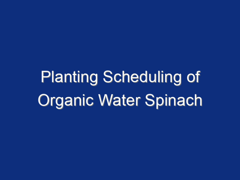 Planting Scheduling of Organic Water Spinach (IpomoeaereptansPoir) Vegetables with Dynamic ...